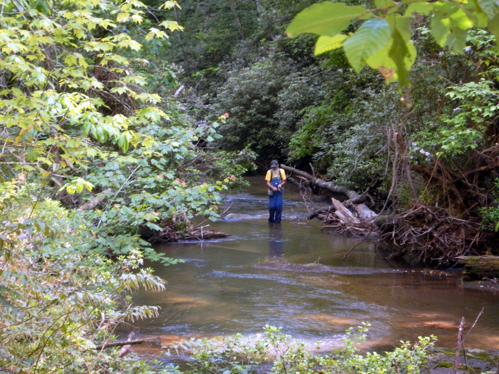 Fly Fishing Georgia's Stonewall - ON THE FLY SOUTH